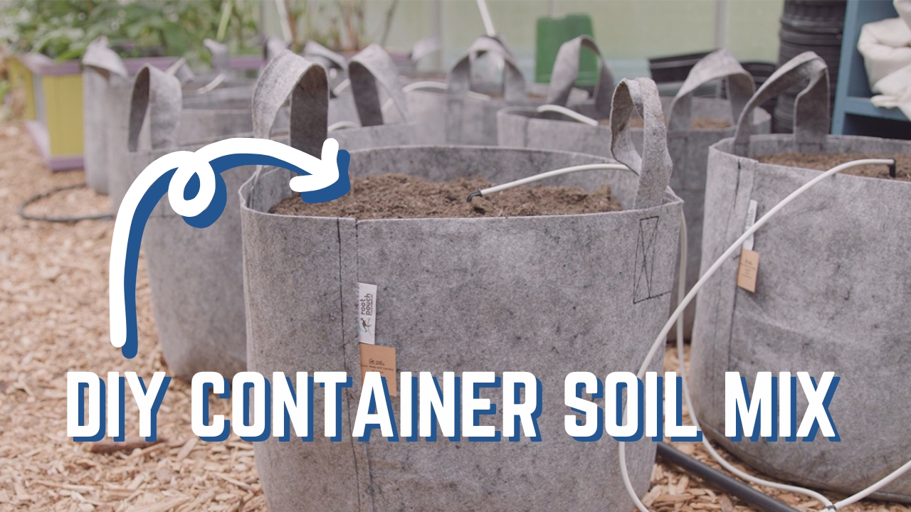 Soil for Containers and Pots – Videos – Mother Earth News